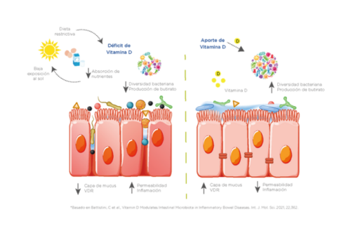 Butirato, más allá de la salud digestiva - Laboratorio Cobas